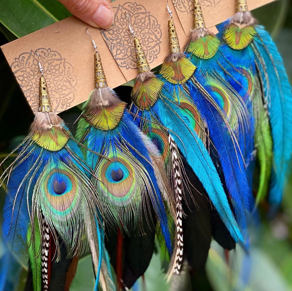 Collections – Birds of a Feather Shop